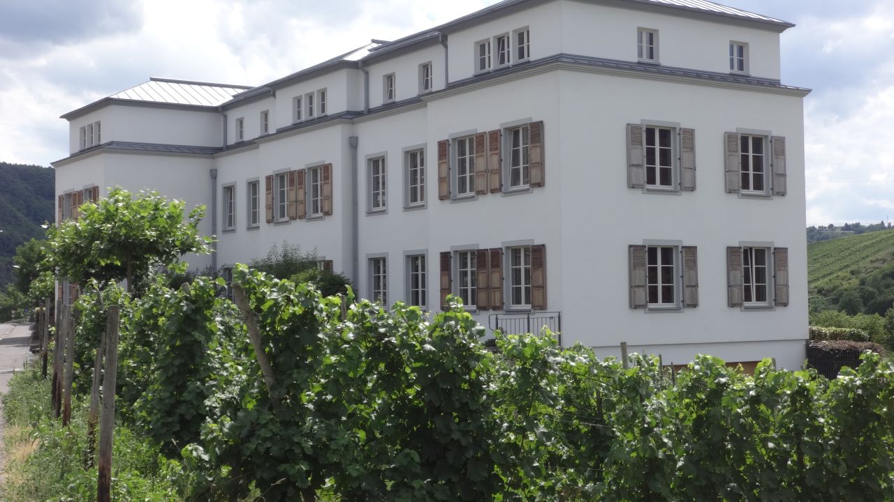 Weingutshotel St. Michael (Wintrich) • HolidayCheck (Rheinland-Pfalz ...
