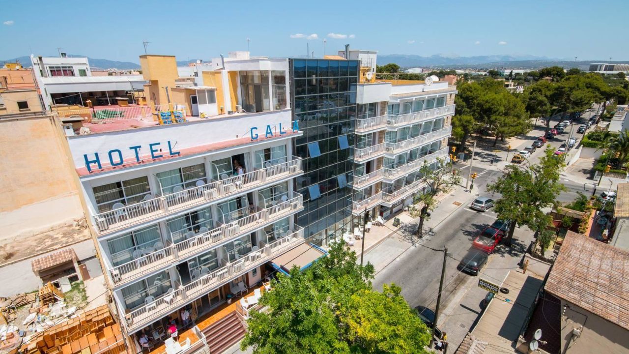 Hotel Amic Gala (Can Pastilla) • HolidayCheck (Mallorca | Spanien)