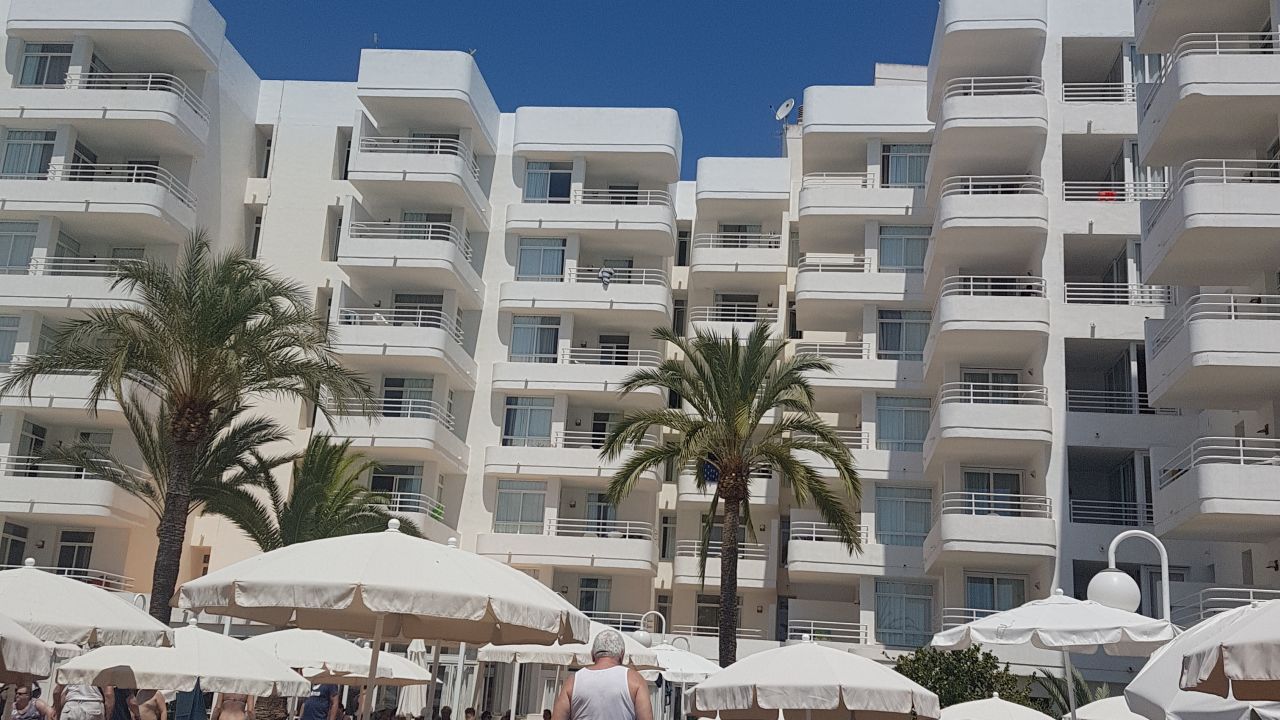 Hotel Palia Sa Coma Playa in Sa Coma • HolidayCheck | Mallorca Spanien