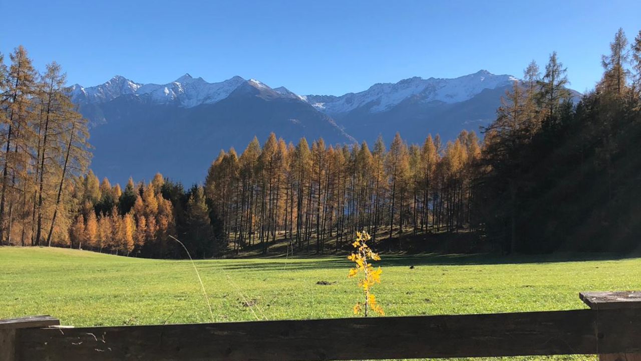 Bio-Wellnesshotel Holzleiten (Obsteig) • HolidayCheck (Tirol | Österreich)