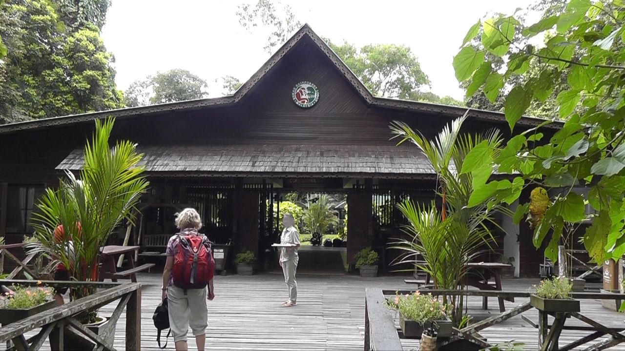 Hotel Sukau Rainforest Lodge (Sukau) • HolidayCheck (Sabah | Malaysia)