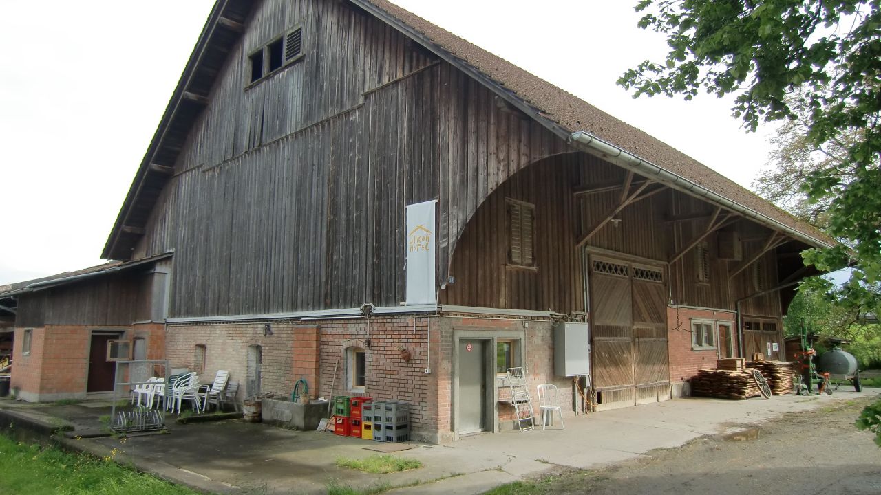 Strohhotel Bodensee (Arbon) • HolidayCheck (Kanton Thurgau | Schweiz)