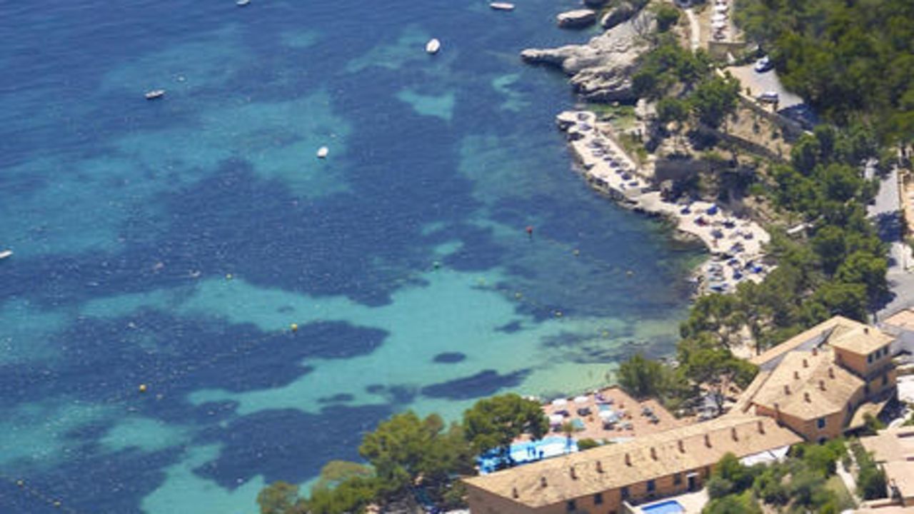 Hotel Petit Cala Fornells in Peguera • HolidayCheck | Mallorca Spanien