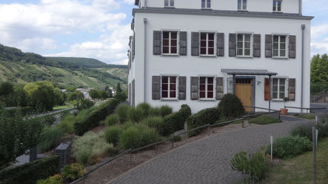 Weingutshotel St. Michael (Wintrich) • HolidayCheck (Rheinland-Pfalz ...
