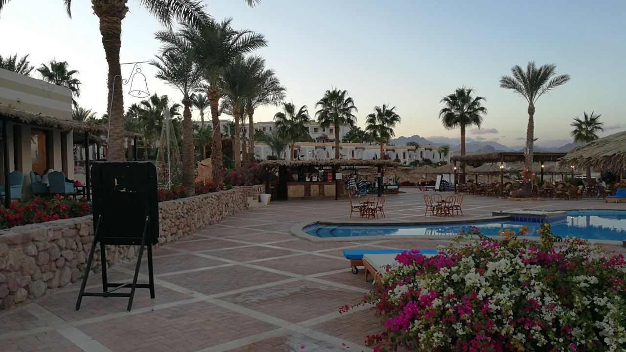 Club Reef Hotel (Sharm el Sheikh) • HolidayCheck (Sharm el Sheikh ...