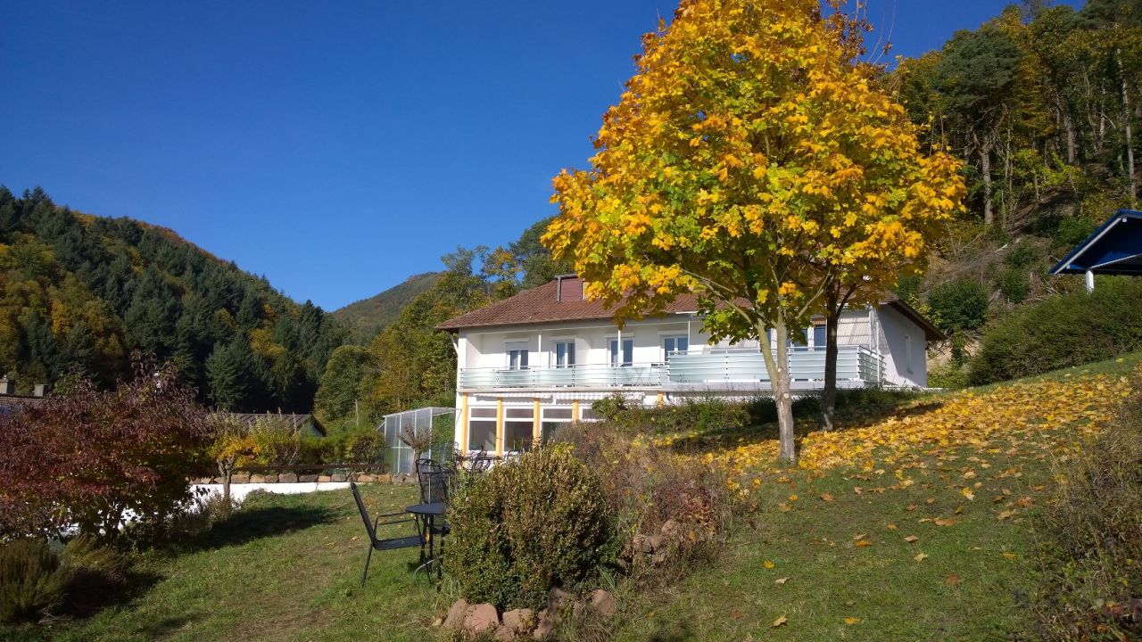 Hotel Berghof & Wirtshaus Hüttenzauber (Albersweiler) • HolidayCheck ...