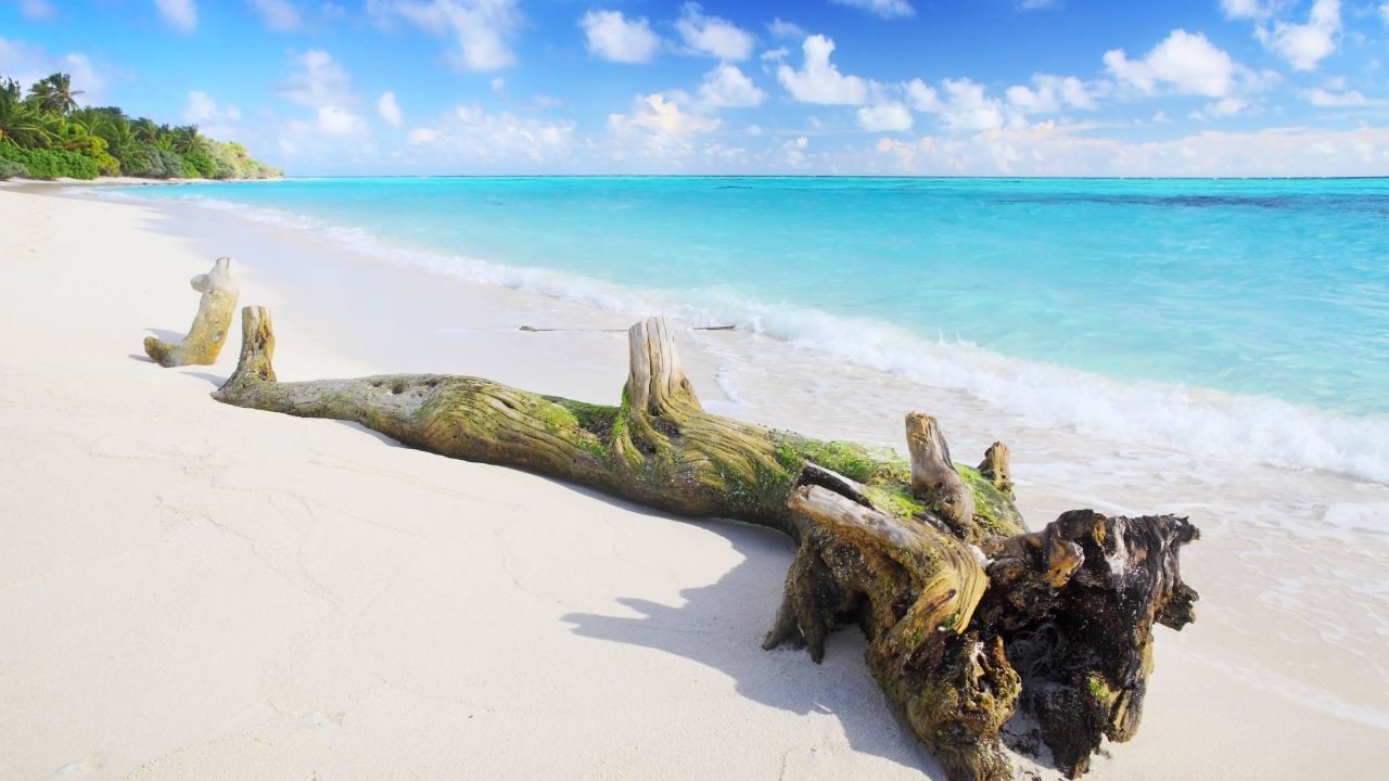 Holiday Cottage Thoddoo, Maldives (Rasdhoo) • HolidayCheck (Alif Alif ...