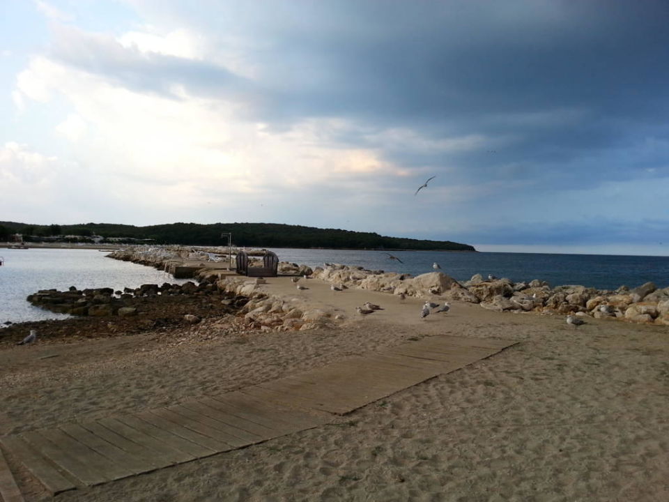 "Strand" FKK Valalta (Rovinj) • HolidayCheck (Istrien | Kroatien)