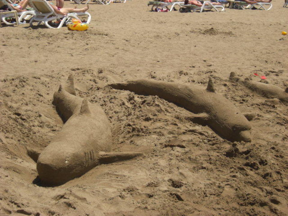 "Sand-Hai" Hotel Royal Dragon (Evrenseki) • HolidayCheck (Türkische ...