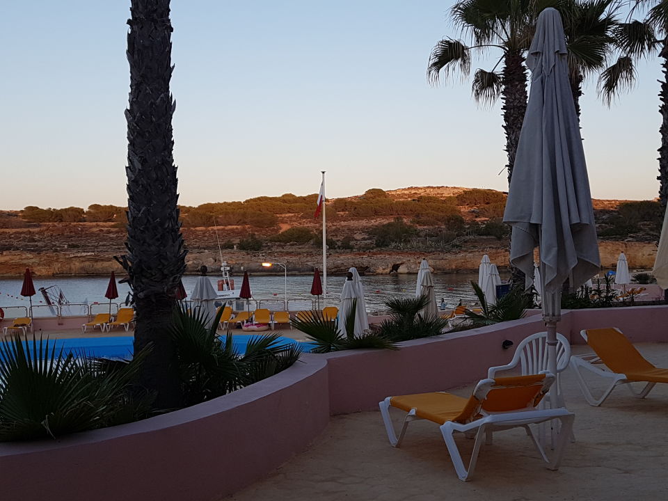 "Pool" Comino Hotel & Bungalows (Insel Comino) • HolidayCheck (Gozo ...