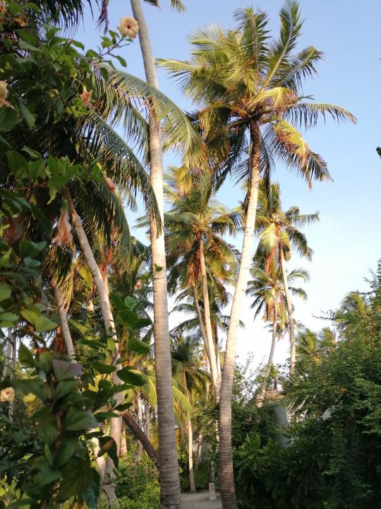 "Außenansicht" Dreamland The Unique Sea & Lake Resort / Spa (Eydhafushi ...