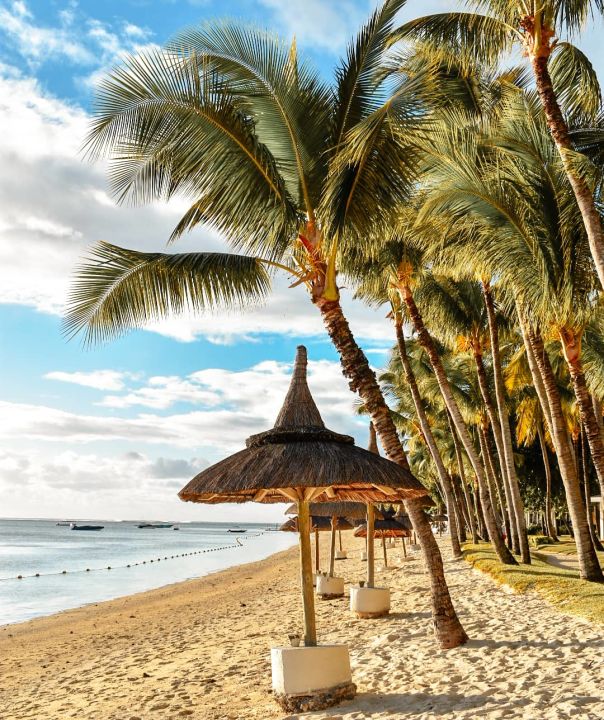"Strand" Sugar Beach Mauritius (Flic en Flac) • HolidayCheck (Mauritius ...