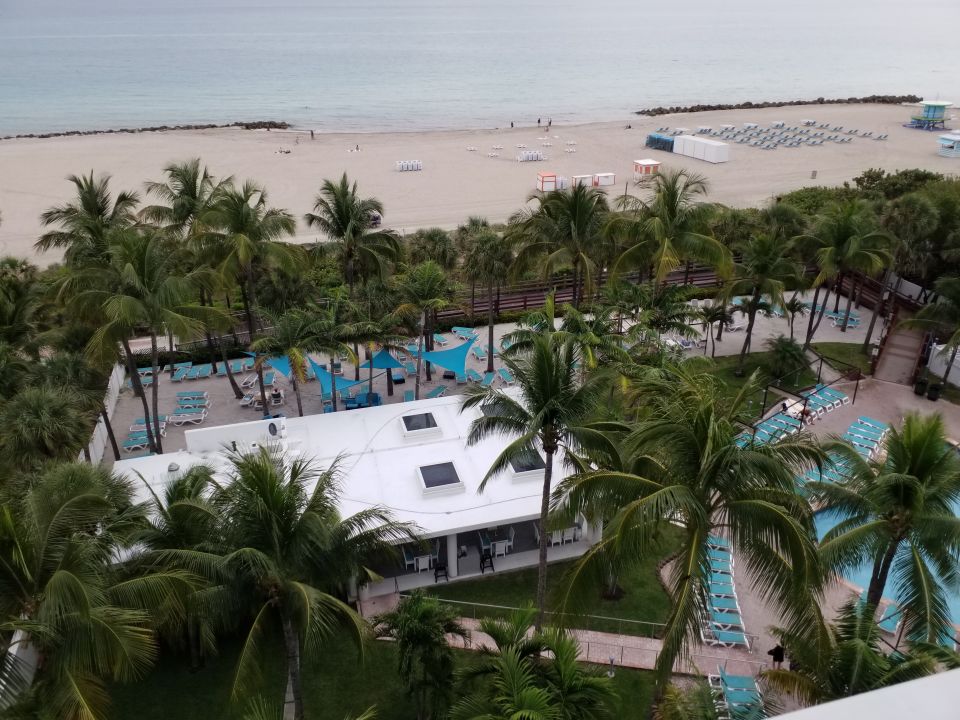 "Ausblick" Hotel Riu Plaza Miami Beach (Miami Beach) • HolidayCheck ...