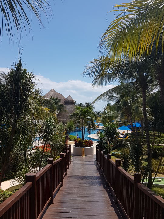 "Pool" The Reef Coco Beach (Playa del Carmen / Playacar) • HolidayCheck ...