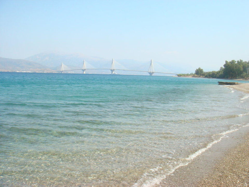 "Strand" Airotel Achaia Beach Hotel (Rio) • HolidayCheck (Peloponnes ...