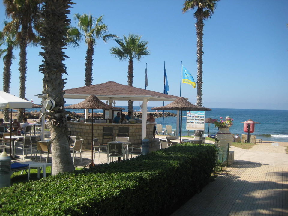 "Strandbar" Louis Ledra Beach (Paphos) • HolidayCheck (Südzypern | Zypern)