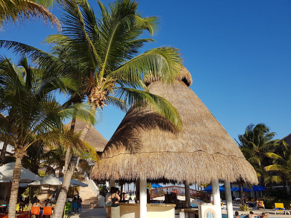 "Pool" The Reef Coco Beach (Playa del Carmen / Playacar) • HolidayCheck ...