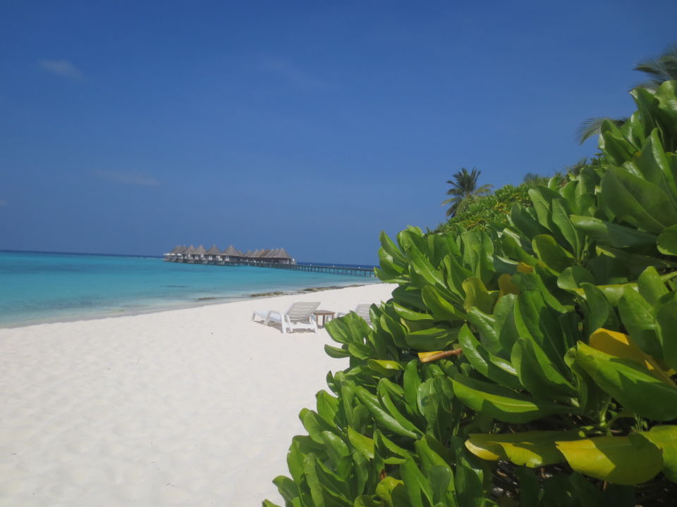 "Außenansicht" Angaga Island Resort (Vilamendhoo) • HolidayCheck (Alif ...
