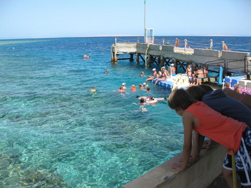 "Das Riff" Titanic Beach Spa & Aqua Park (Hurghada) • HolidayCheck ...