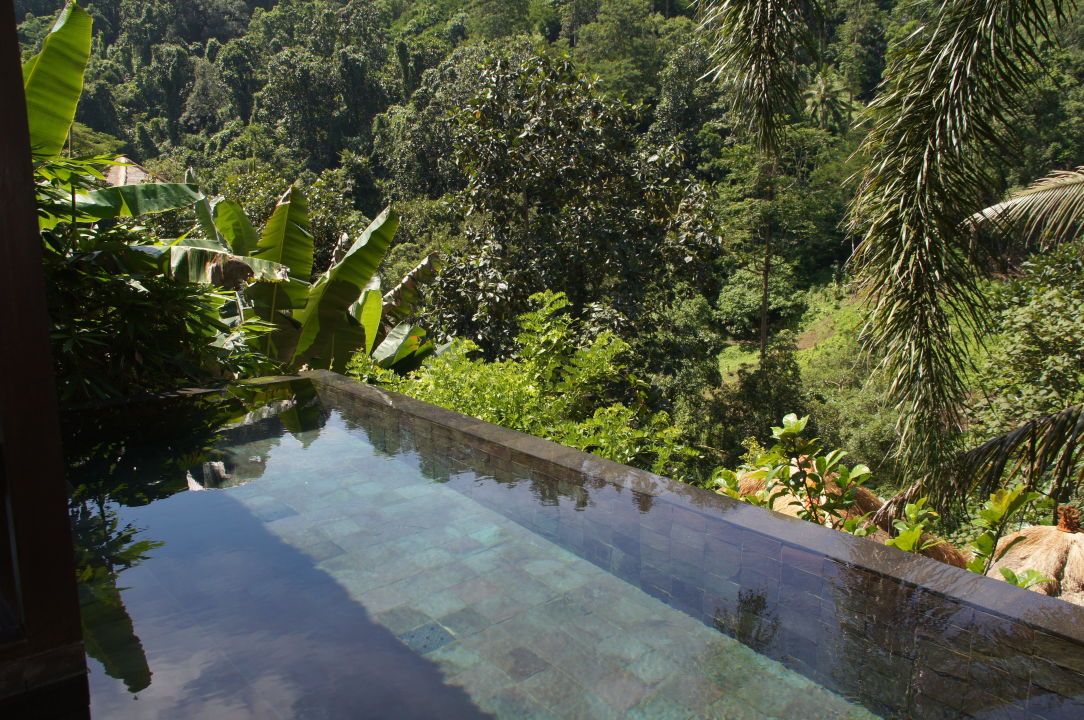 "Infinity Pool" Hotel Hanging Gardens of Bali (Payangan) • HolidayCheck ...