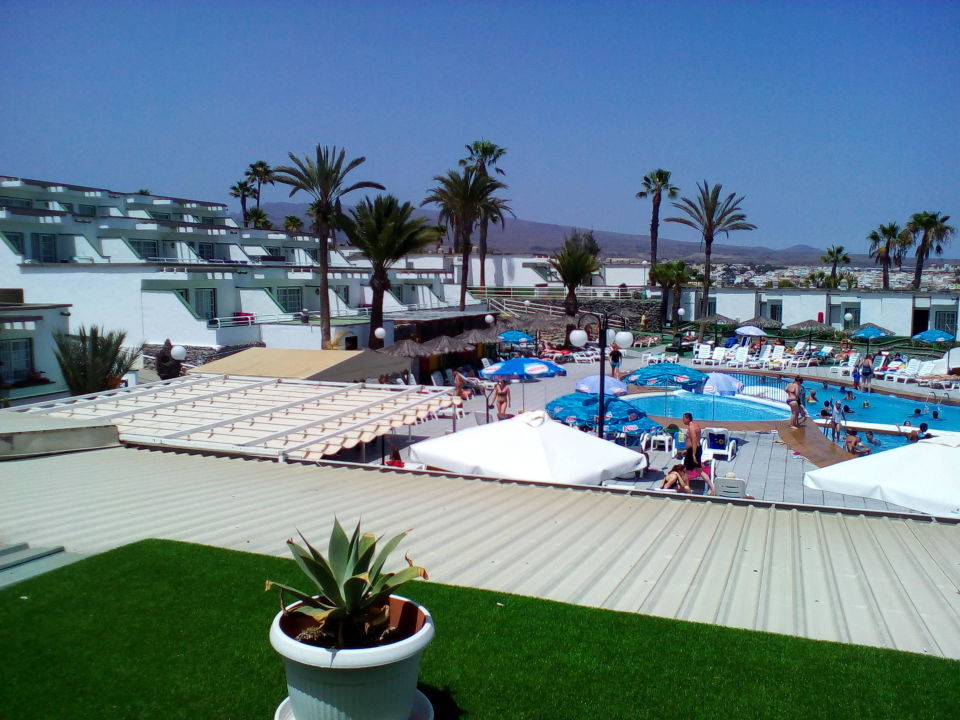 "Hotel Vista Oasis" Bungalows Vista Oasis (Maspalomas) • HolidayCheck ...