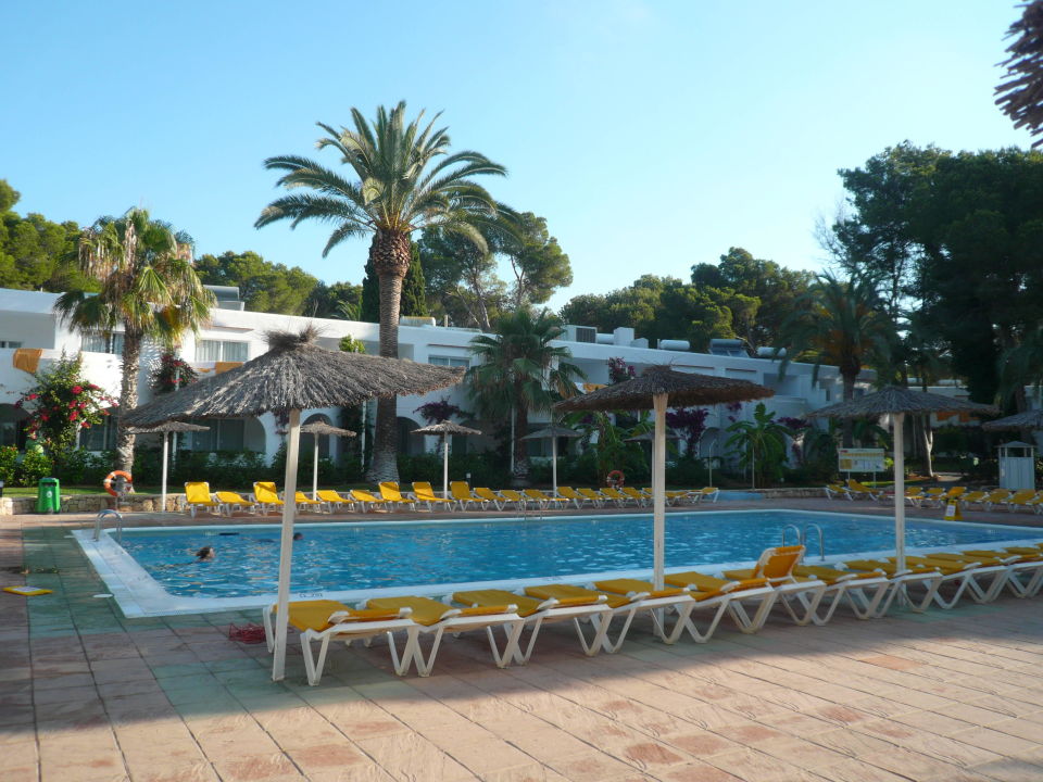 "Pool" TUI MAGIC LIFE Cala Pada (Es Canar) • HolidayCheck (Ibiza | Spanien)