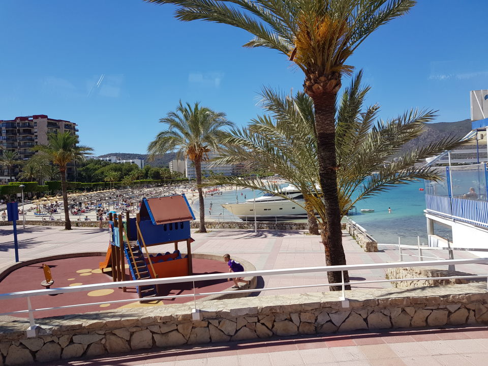 "Strand" AluaSun Torrenova (Palmanova) • HolidayCheck (Mallorca | Spanien)