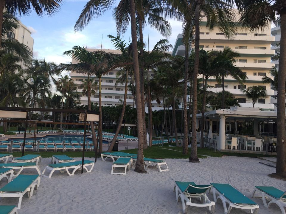 "Pool" Hotel Riu Plaza Miami Beach (Miami Beach) • HolidayCheck ...