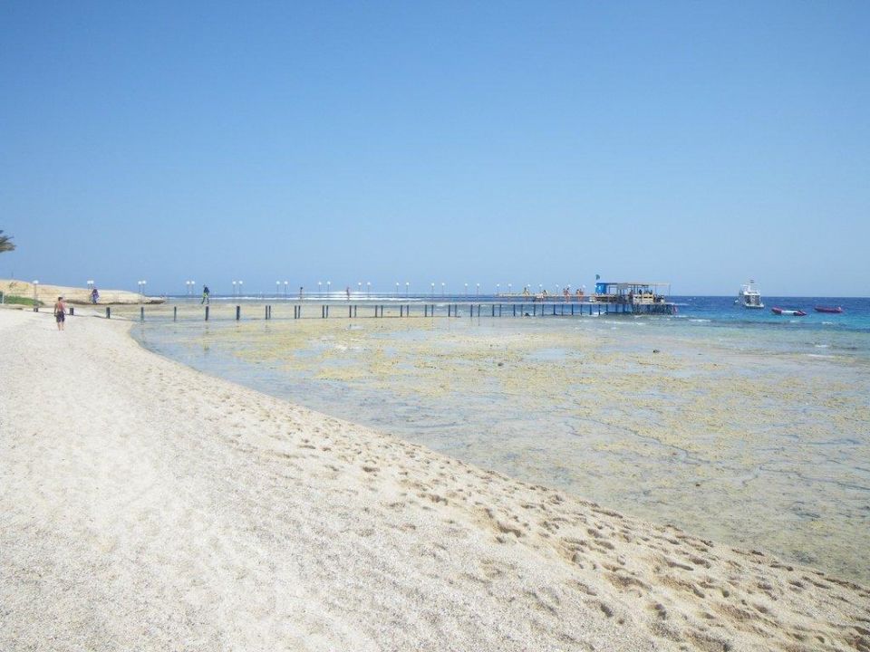 "Strand mit Jetty zum Hausriff" Mövenpick Resort El Quseir (El Quseir ...