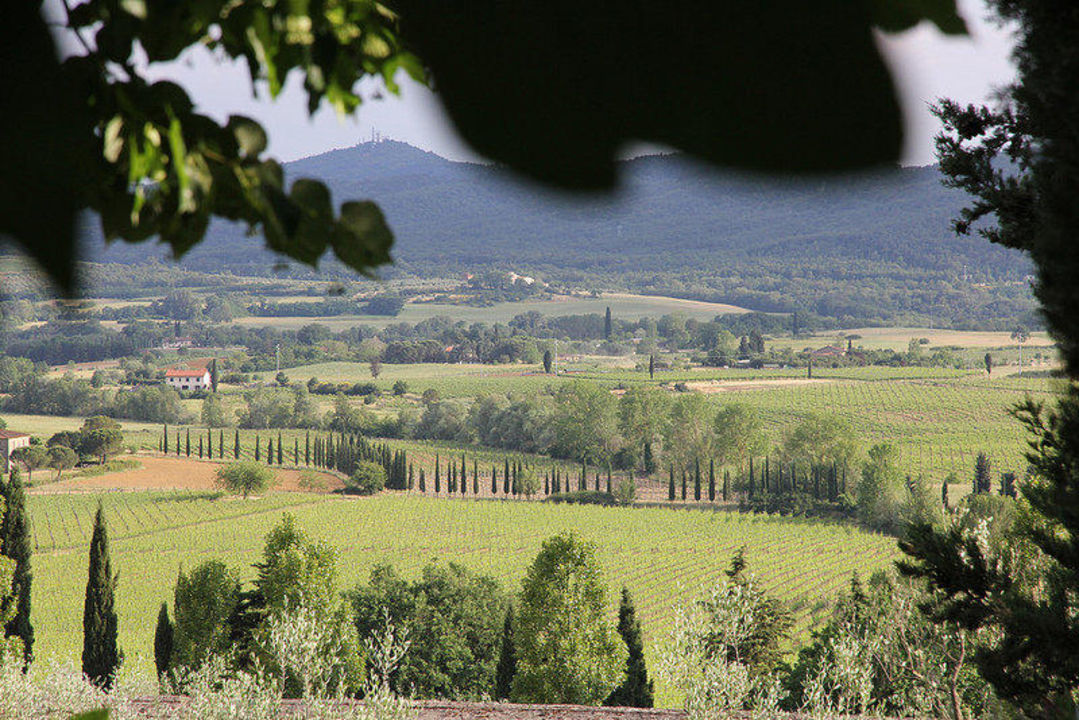 "Blick von der Fattoria " Fattoria La Vialla (Castiglion Fibocchi ...
