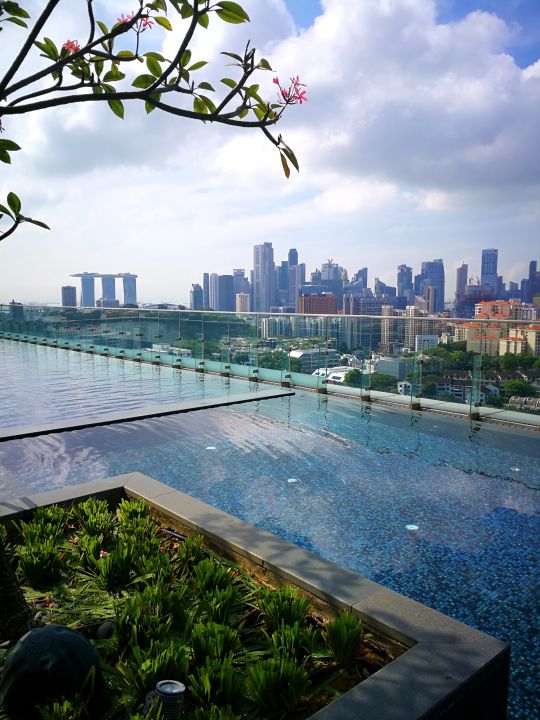 "Pool" Hotel Jen Orchardgateway Singapore (Singapur) • HolidayCheck ...