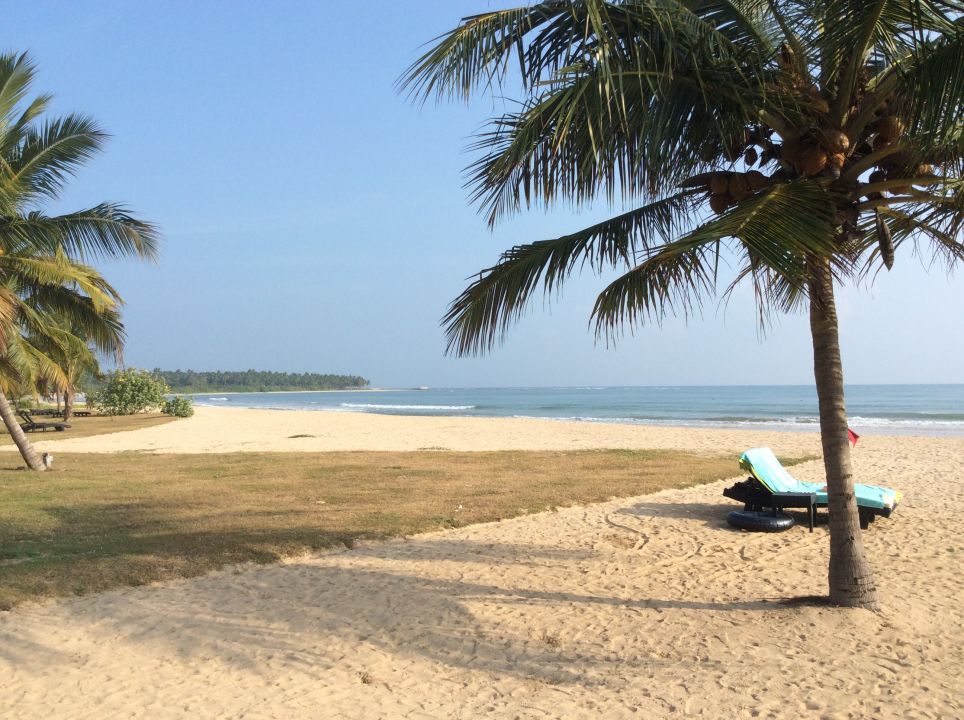 "Strand" The Calm Resort & Spa (Passikudah) • HolidayCheck (Sri Lanka ...