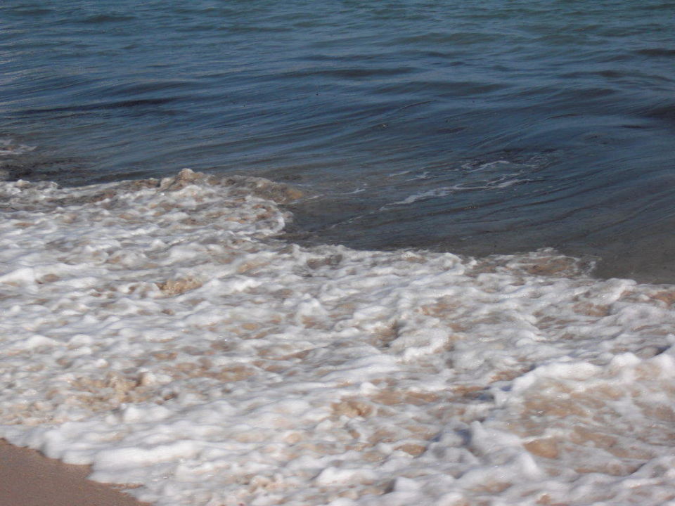 "Dreckiges Wasser." Palm Beach Club Hammamet (Hammamet) • HolidayCheck ...