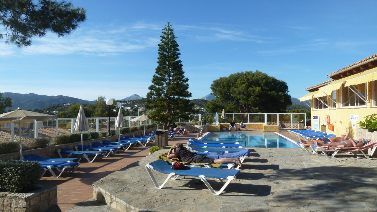 "Pool" Club Santa Ponsa (Calvia) • HolidayCheck (Mallorca | Spanien)