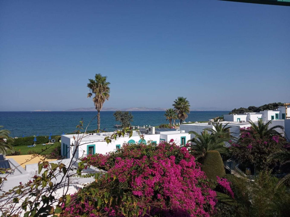 "Ausblick" Mastichari Bay Hotel (Mastichari) • HolidayCheck (Kos ...