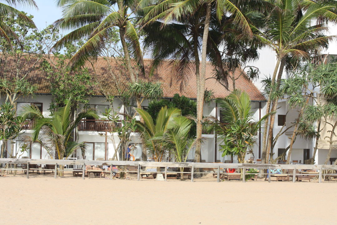 "Hotel" Pandanus Beach Resort & Spa (Induruwa) • HolidayCheck (Sri ...