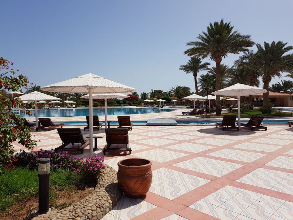 "Pool" Pharaoh Azur Resort (Hurghada) • HolidayCheck (Hurghada/Safaga ...