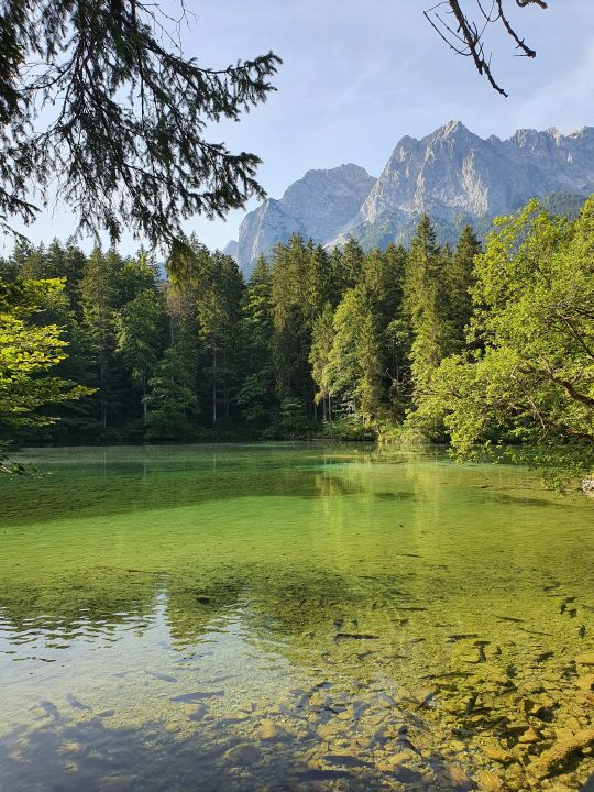 "Gartenanlage" Hotel Am Badersee (Grainau) • HolidayCheck (Bayern ...