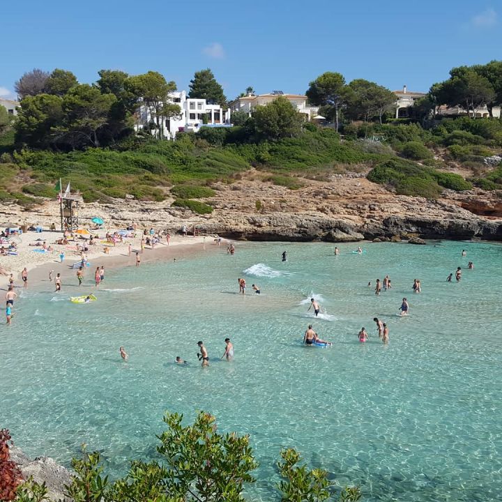 "Strand" Insotel Club Cala Mandia (Cala Mandia) • HolidayCheck ...