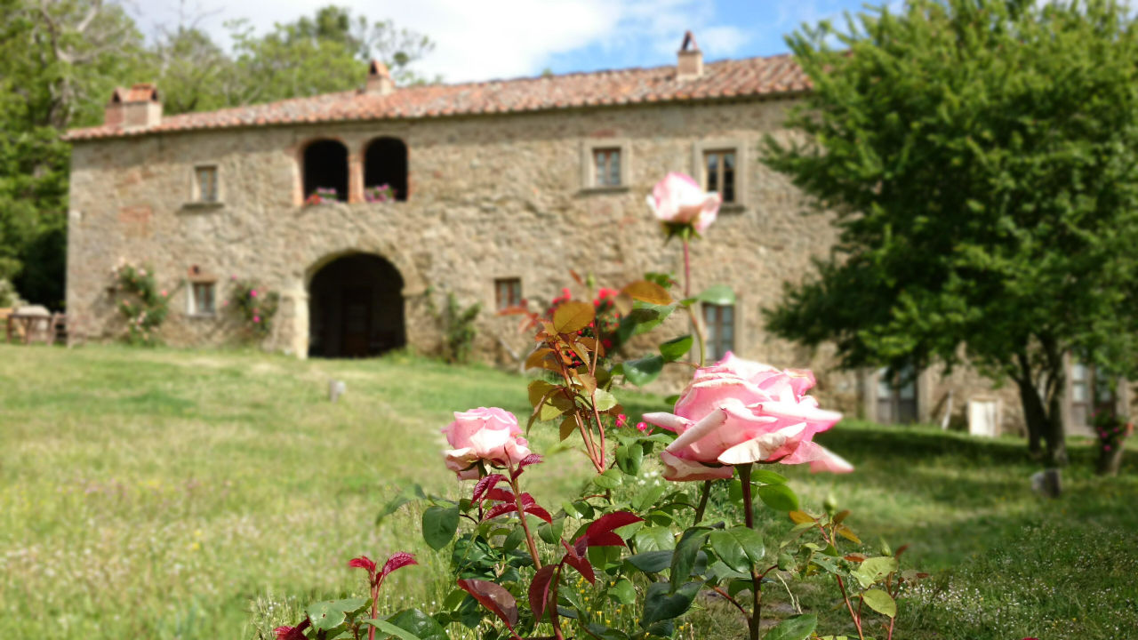 "Blick auf unser Haus" Fattoria La Vialla (Castiglion Fibocchi ...