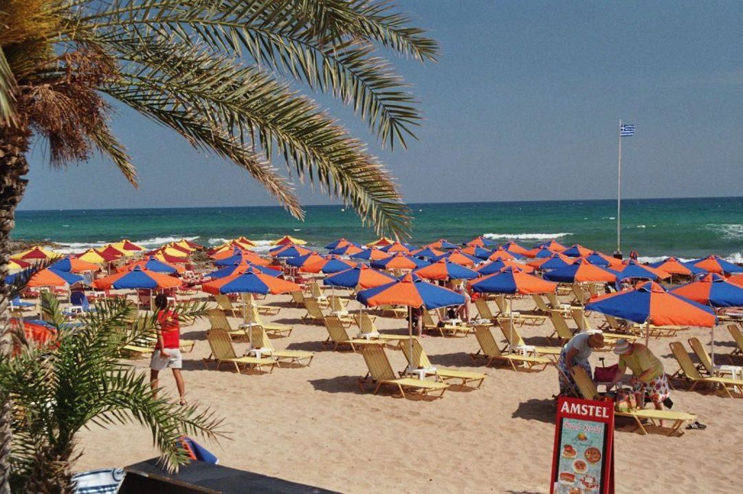 "traumhafter Strand" Hotel Cactus Beach (Stalis) • HolidayCheck (Kreta ...