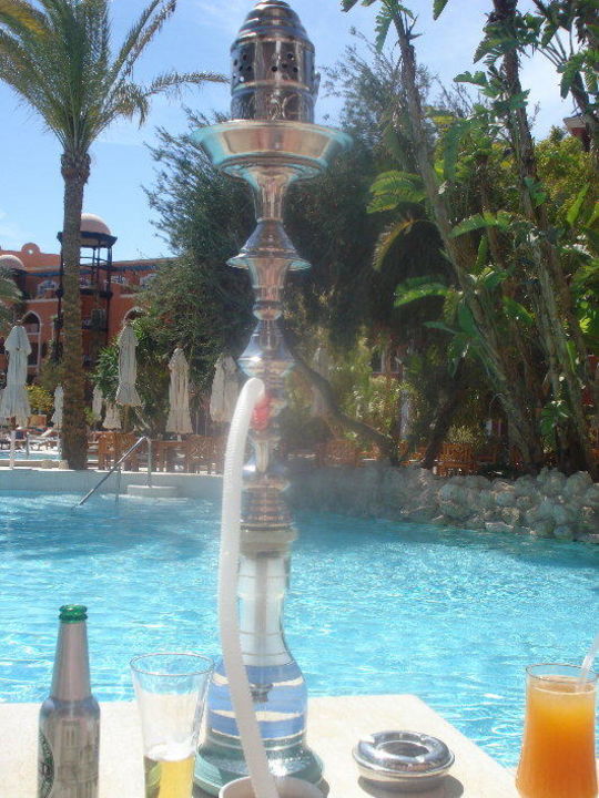 "Wir konnten eine Shisha direkt am Pool genießen " The Grand Resort ...