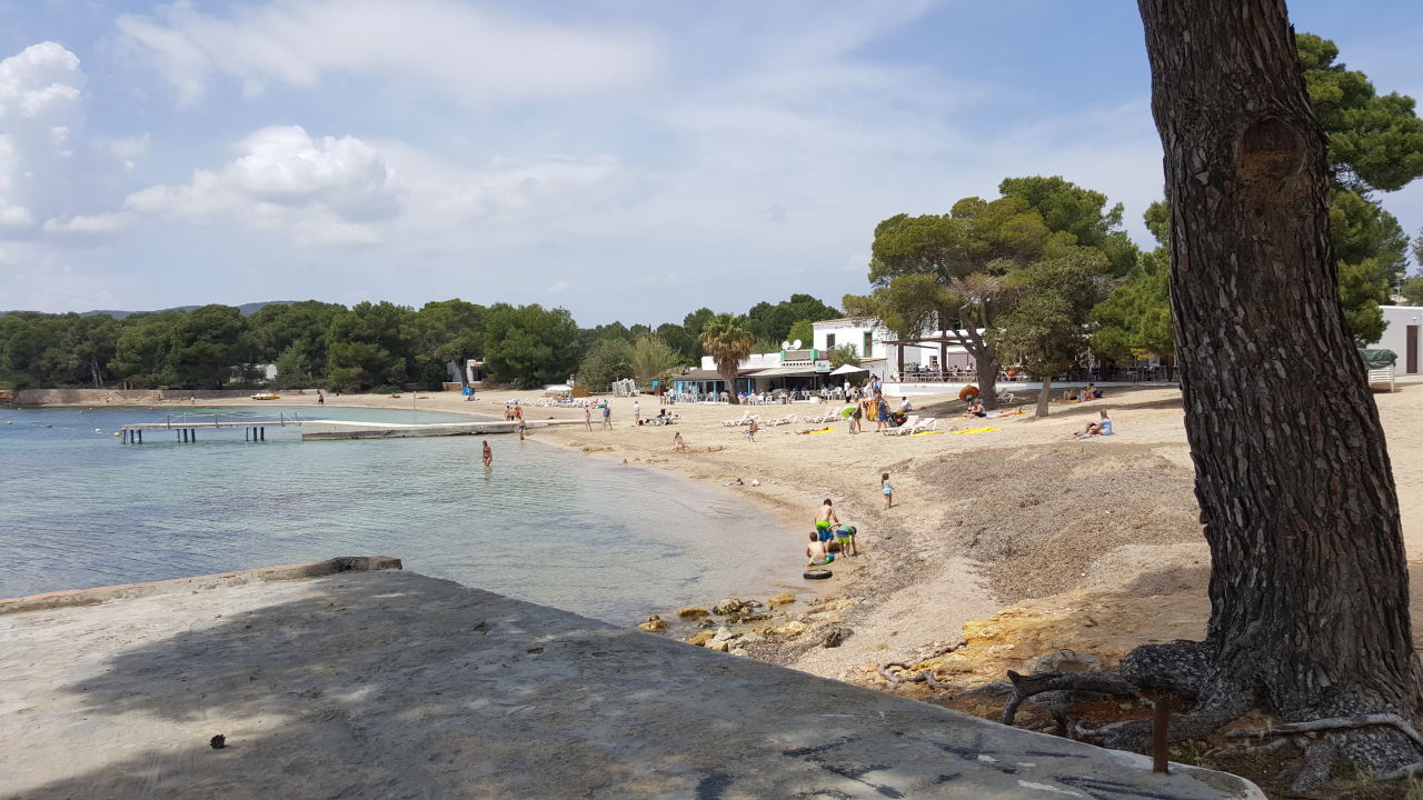 "Strand" TUI MAGIC LIFE Cala Pada (Es Canar) • HolidayCheck (Ibiza ...