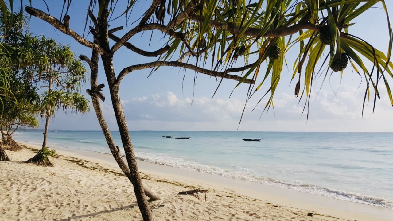 "Strand" Neptune Pwani Beach Resort & Spa (Pwani Mchangani ...