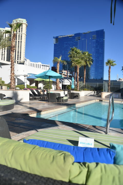 "Pool" The Signature at MGM Grand (Las Vegas) • HolidayCheck (Nevada | USA)