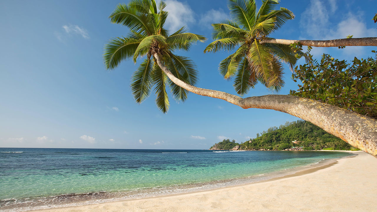 "Baie Lazare Beach With Palm Trees" Kempinski Seychelles Resort (Baie ...