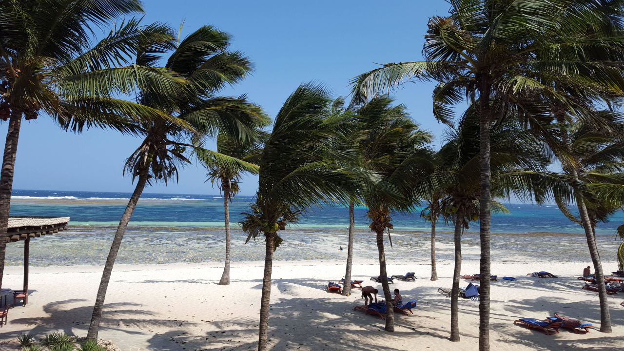 "Strand" Resort Amani Tiwi Beach (Tiwi Beach) • HolidayCheck (Provinz ...