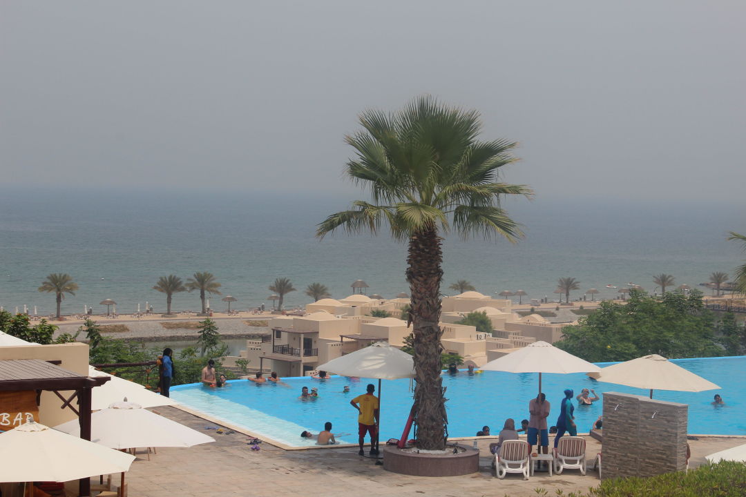 "Pool" The Cove Rotana Resort (Ras al-Khaimah) • HolidayCheck (Ras al ...