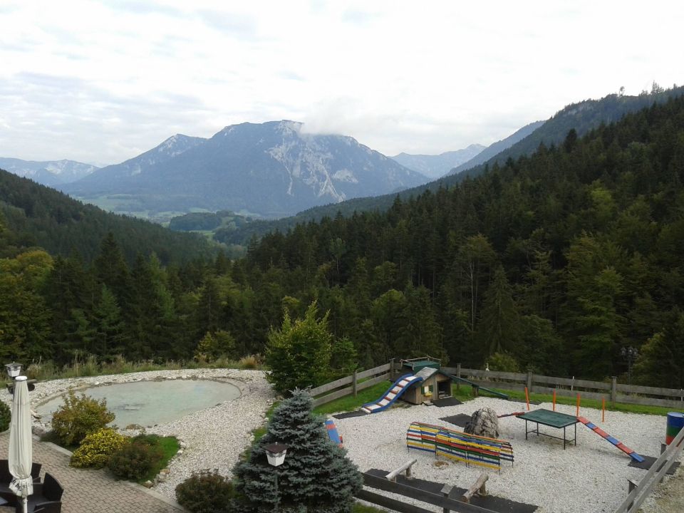 "Mit Blick auf den Rauschberg" Haus Blickner Alm (Ruhpolding ...