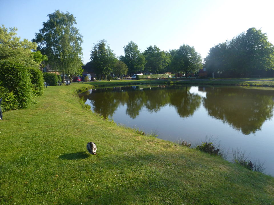 "Teich" Eurostrand Resort Lüneburger Heide (Fintel) • HolidayCheck ...